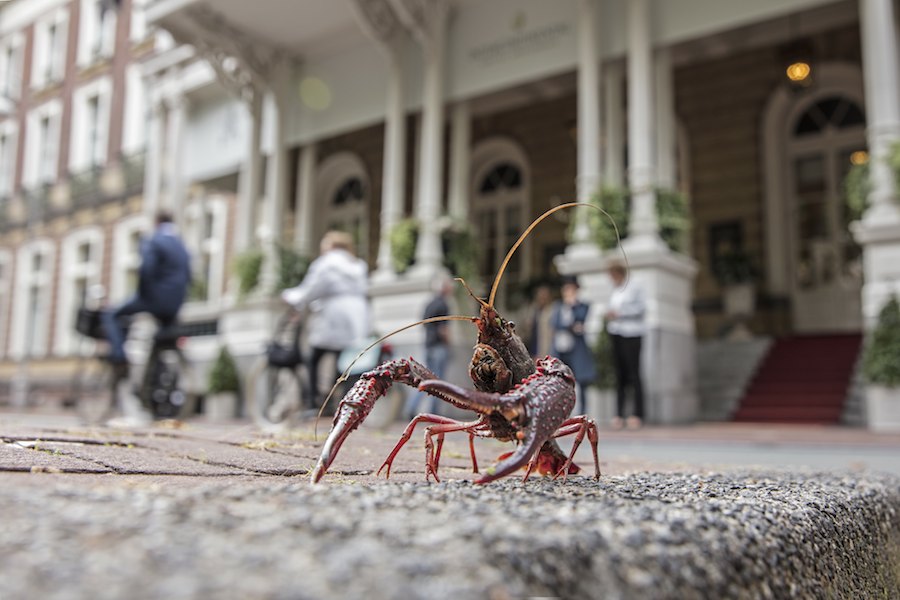 Review: The Wild City (2018) - FilmiTips.Com