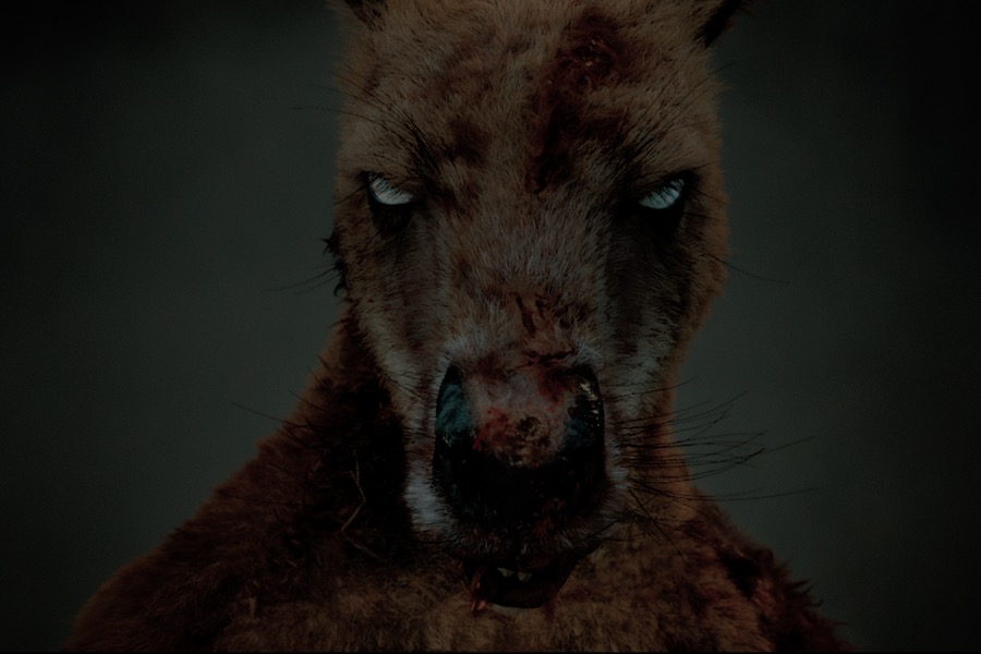 Review: Eject (2019) - FilmiTips.Com